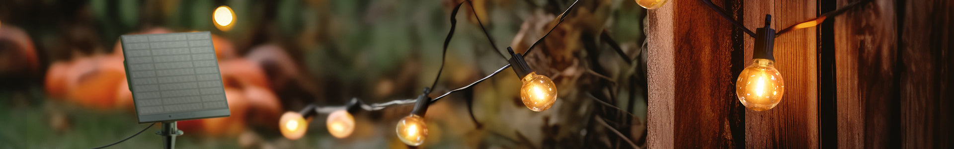 Solar G40 Bulb String Lights – Brightown Decor